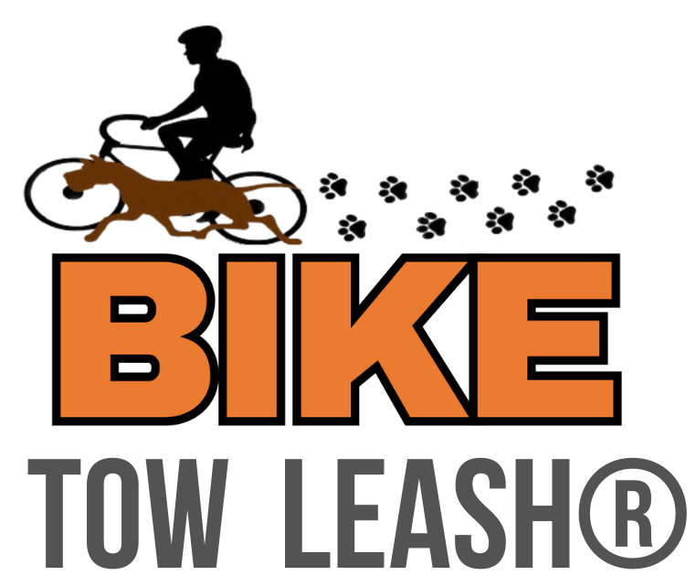 Safest Way to Ride with Your Dog: Dog Bike Leash Tips