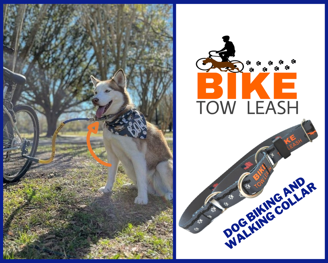 Bike Tow Leash – Dog Bike Leash for Safe Cycling